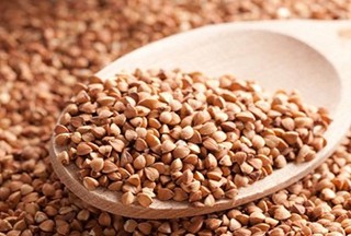 Ծիթրոն. Երիտասարդություն պարգևող բույսը գտնվա՞ծ է