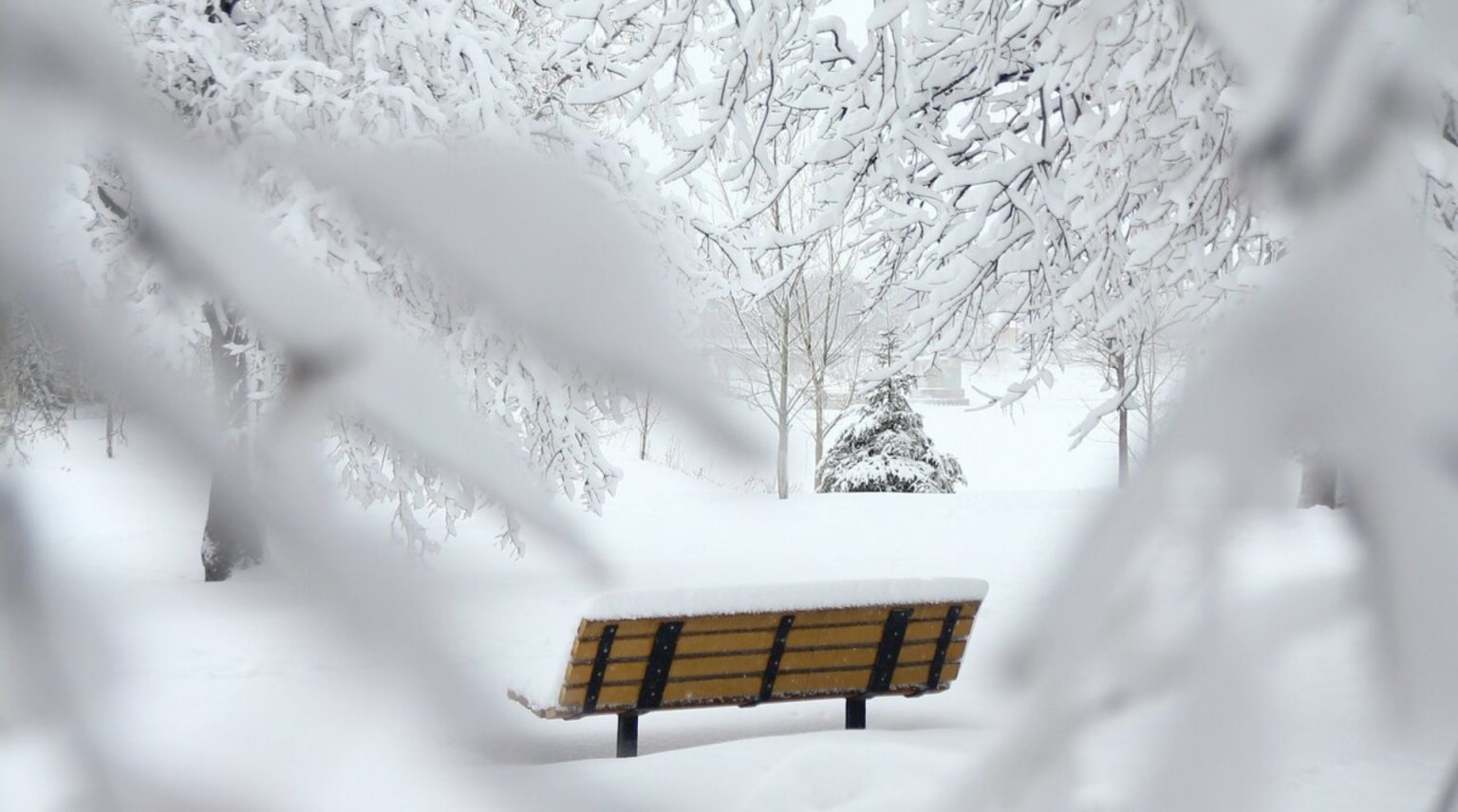 Հանրապետության ողջ տարածքում սպասվում է ձյուն